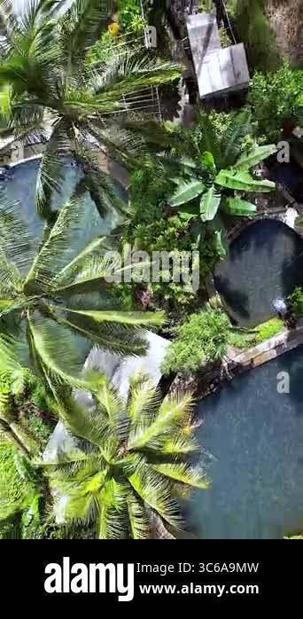 Wisata Kolam Alam Tetebatu. Lombok Indonesia Drone. High quality 4k ...