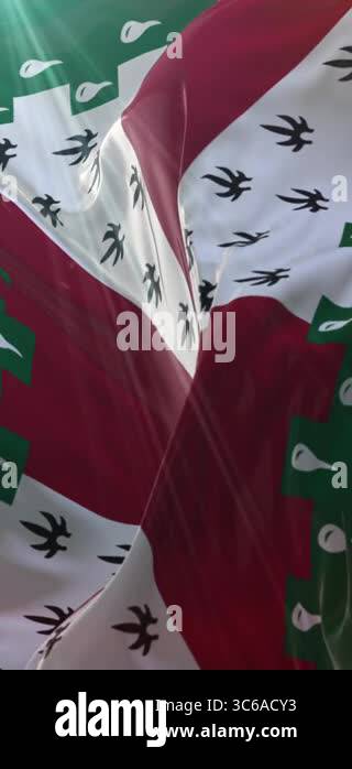 Loudoun county flag, Virginia, United States of America. Loop. 4K ...