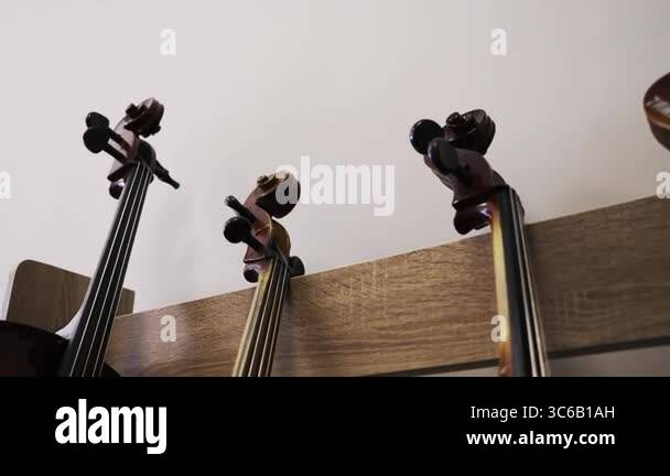Cello necks displayed on rack demonstrate beauty of craftsmanship and ...