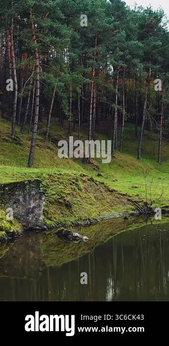 Beautiful scenery of recreation center. Territory of suburban ...
