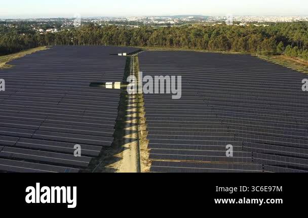 Aerial view of solar farm field with solar panels, emphasizing ...