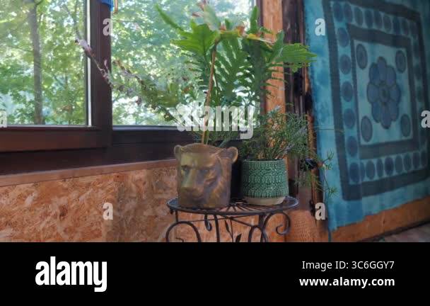 Lush indoor garden scene featuring Stock Videos & Footage - HD and 4K ...