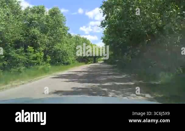 Asphalt road and green roadsides with bushes. Empty highway. Overgrown ...
