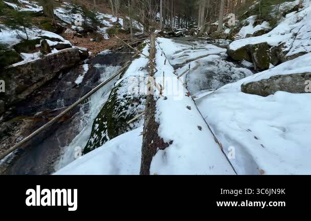 A tranquil and serene winter scene showcasing a snowcovered tree bridge ...
