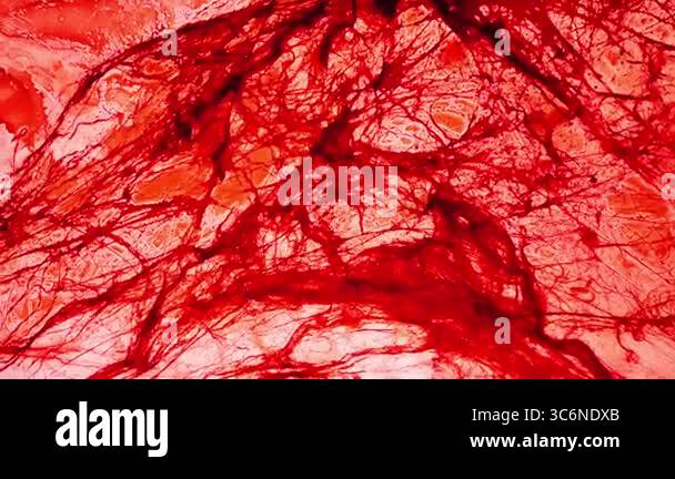 Blood texture 4k Stock Videos & Footage - HD and 4K Video Clips - Alamy