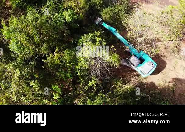 The top view of the deforestation Stock Video Footage - Alamy