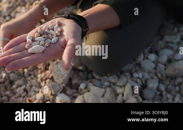 shells on hand close-up. girl sitting on beach and collecting various ...