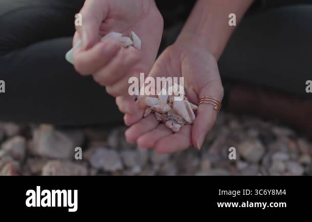shells on hand close-up. girl sitting on the beach and examining ...
