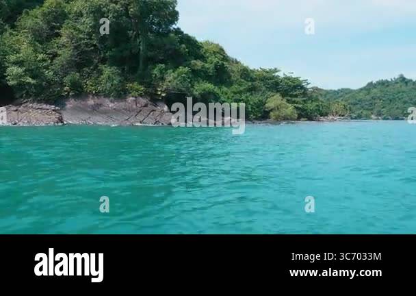 Serene exotic shoreline and lush dense rainforest with tropical plants ...
