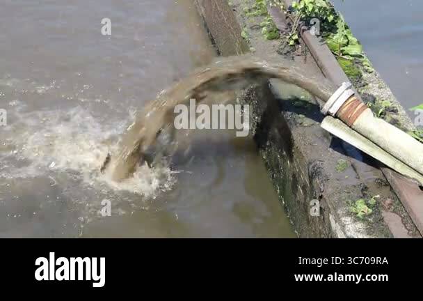 Sewage pipe polluting water Stock Video Footage - Alamy