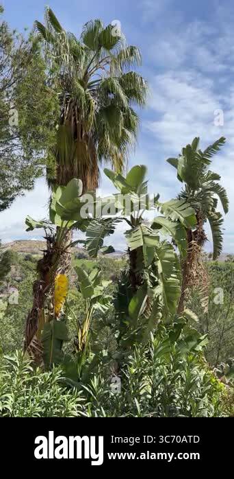 Discover the Ricote Valley of Archena, a Moorish landscape on the banks ...