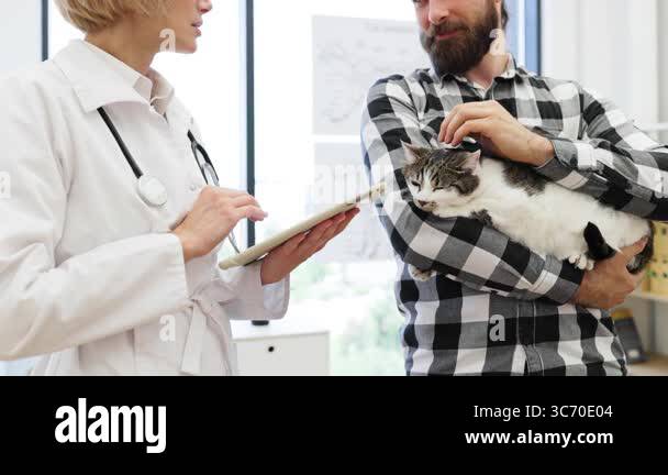 Veterinarian using tablet to explain medical history or prescription to ...