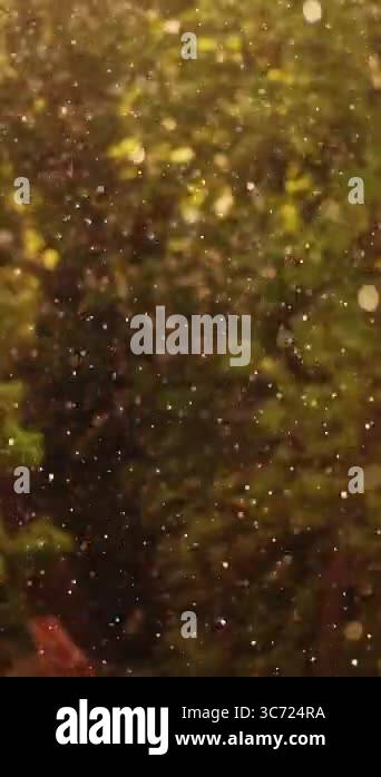 Focus on large droplets of rain and hail parts. they shine with gold in ...