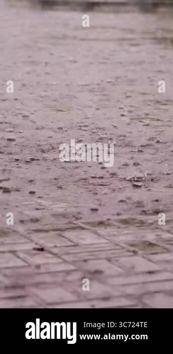 Heavy rain, a shower, large heavy drops drip onto the street tiles ...