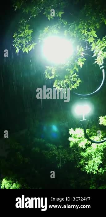 Street light. Rain Drop.Rain in the night. Light rainfall. Puddle with ...