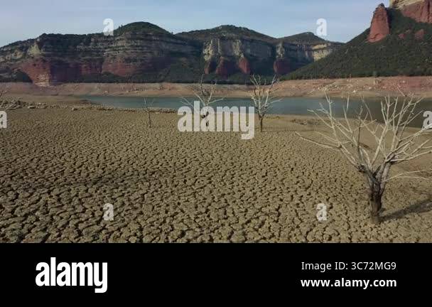 Dry tree with all the ground cracked in the Sau reservoir Stock Video ...
