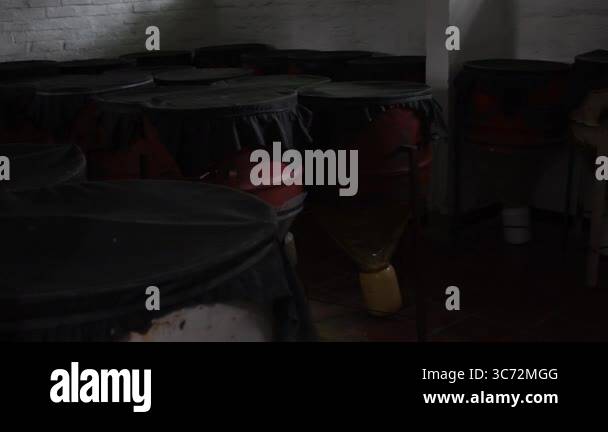 Natural Predator Cultivation for Biological Pest Control in Agriculture ...