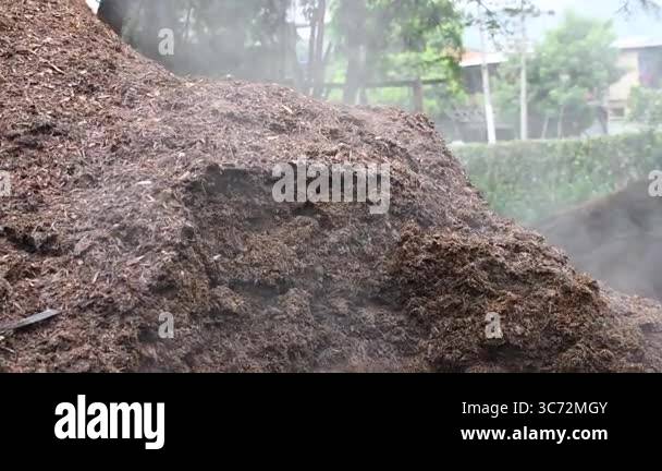 Steaming Organic Compost Pile Stored in an Agricultural Field for ...
