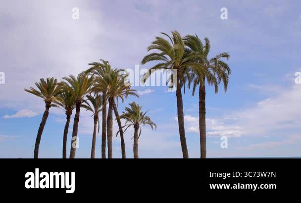 Taken in spain Stock Videos & Footage - HD and 4K Video Clips - Alamy