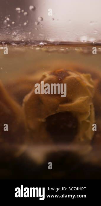 Close-up view of dates submerged in boiling water, softening for vegan ...