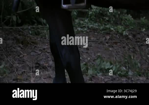 Back pats Stock Videos & Footage - HD and 4K Video Clips - Alamy