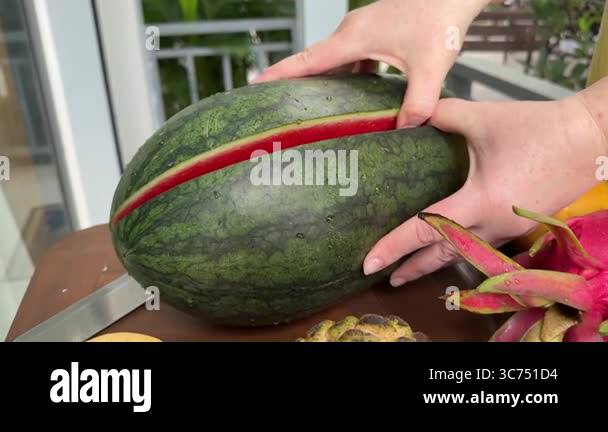 female hands cut ripe watermelon on cutting board. break the watermelon ...