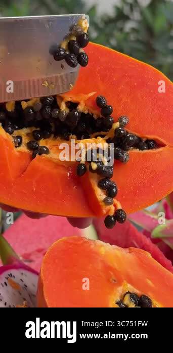 Papaya fruit, sweet ripe fresh papaya, raw vegan food. High quality 4k ...