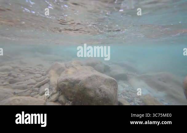 Underwater footage of a rocky riverbed with shimmering light, then ...
