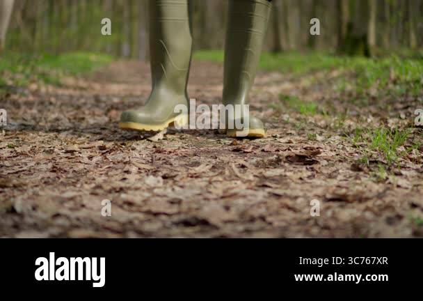 Immerse yourself in the soothing tranquility of walking along a serene ...