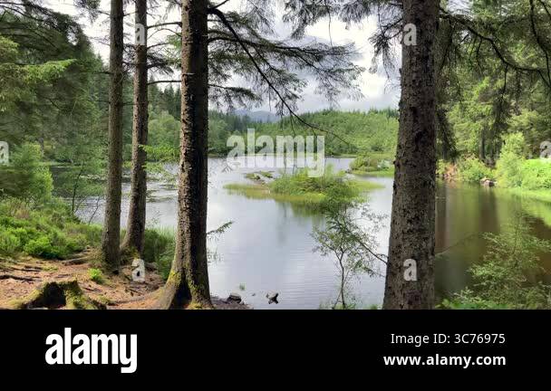 Serene view of Lochan aGhleannain in Queen Elizabeth Forest Park ...