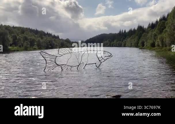 Nr Aberfoyle, Scotland, UK - 07.03.2023: Wire pike fish sculpture by ...