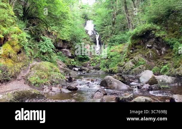 Queen elizabeth forest park scotland Stock Videos & Footage - HD and 4K ...