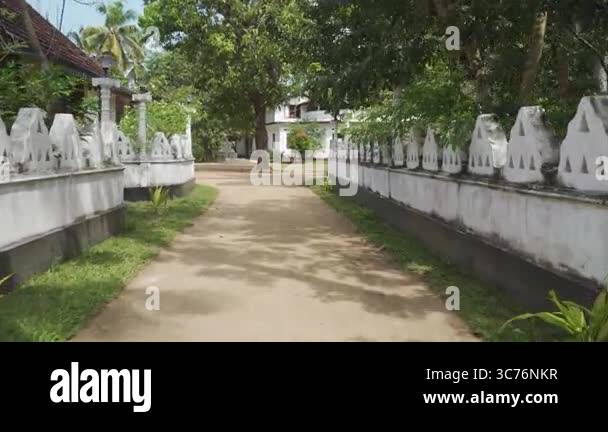 Ancient temple in green Stock Videos & Footage - HD and 4K Video Clips ...