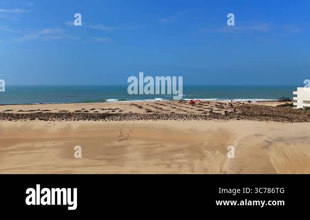 Lancau, France March 31 2025. Aerial drone view of workers and ...