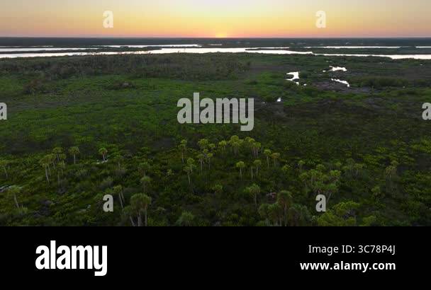 Beautiful nature. Southern Florida wetlands with river between green ...