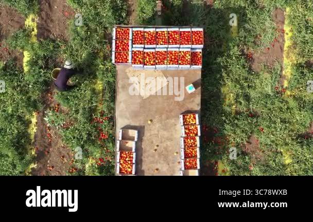 Loading onto trailer Stock Videos & Footage - HD and 4K Video Clips - Alamy