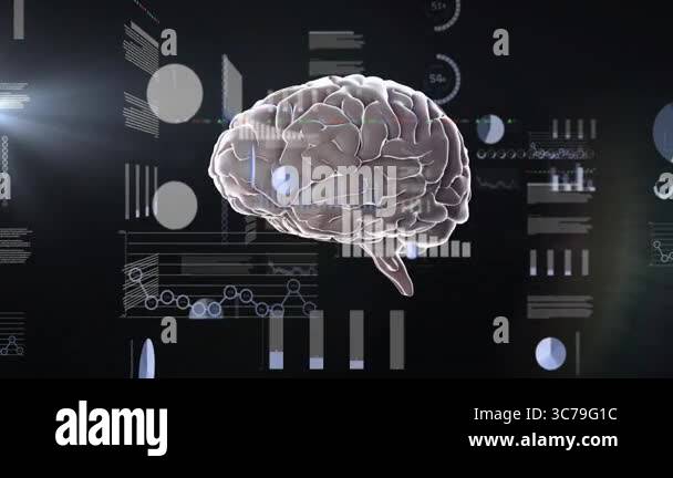 Animation of digital brain with data analytics and graphs in futuristic interface. Artificial ...