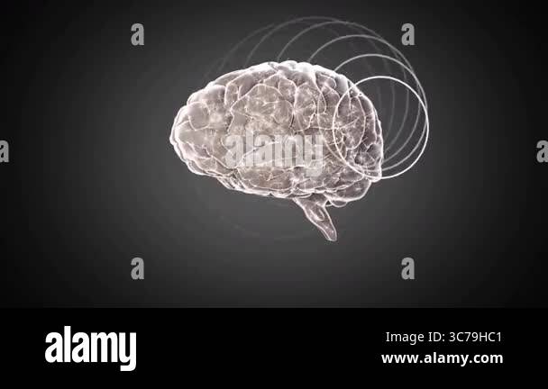 Animation showing neural activity with swirling lines in transparent brain model. Neuroscience ...