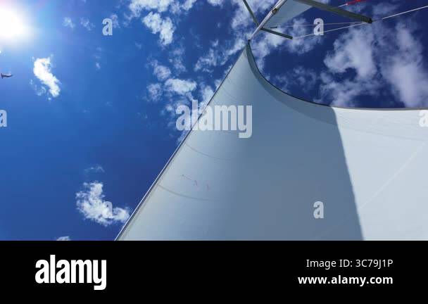 A slow-motion video captures a sunlit sailboat sail and a bird in the ...