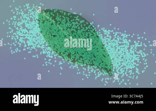 Animating green DNA strand overlaying close-up of leaf in scientific ...