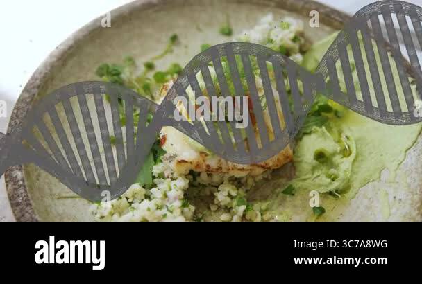 DNA strand animation over gourmet dish with greens and grains. Genetics ...