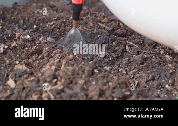 Spraying water on seeds in the soil, close-up in slow motion. Working ...