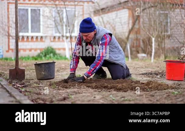 Industrious old man working in his garden near the house. Farmer ...