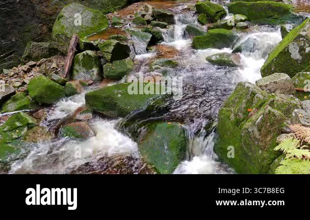 Beautiful mountain brook with a mossy rocks Stock Video Footage - Alamy