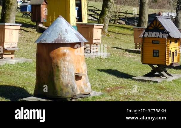 Bee garden. Old historic beehive and flying bees. Zoom in shot Stock ...