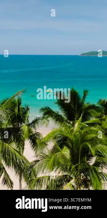 Flying over the palm trees in Nacpan Beach. Ocean waves on sandy shore ...