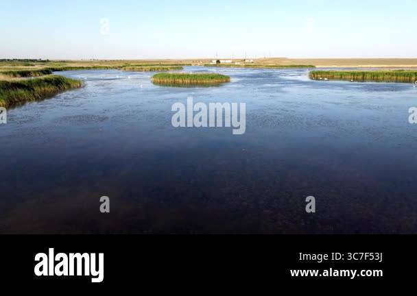 Fly Over Scenery Of Fly Over Scenery Of Lake with white swans, floating ...