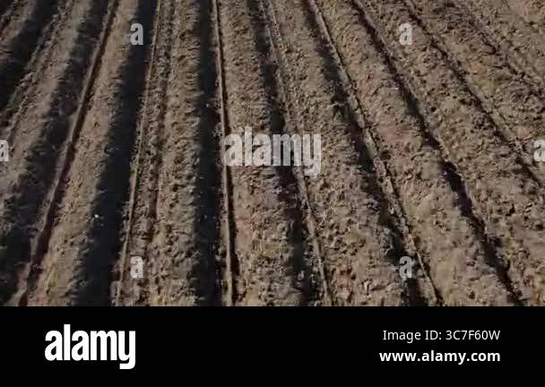 Aerial video documentation of a plowed field with parallel furrows ...