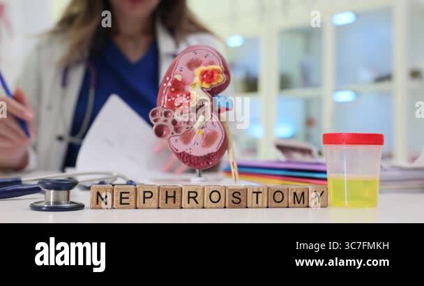 Blocks with Nephrostomy and model of kidney and urine sample container ...