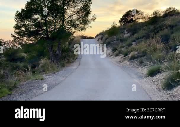 Imagine a tranquil view of a winding road that leads gently uphill ...